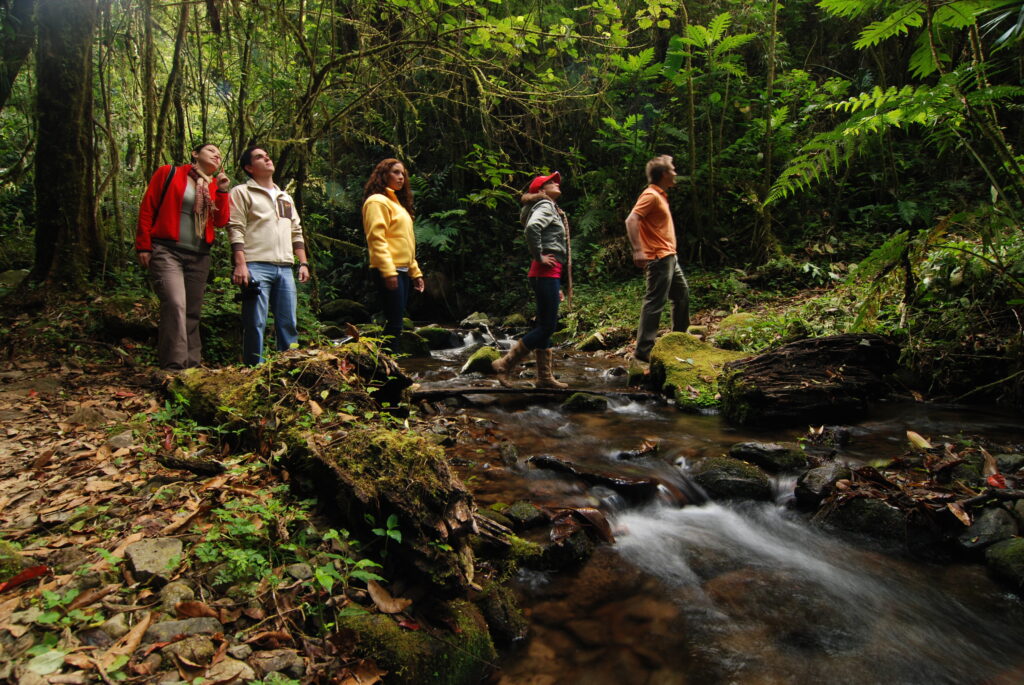 Natural Adventure – Selfdrive (15 days and 14 nights).